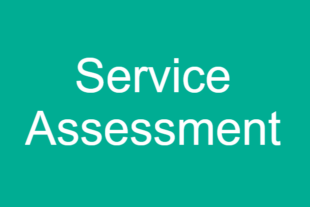 NHS England Proxy Application Service Alpha Assessment – Digital health and social care